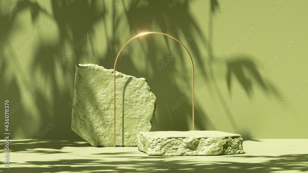 3d render, abstract green background with tropical leaves shadow and ...
