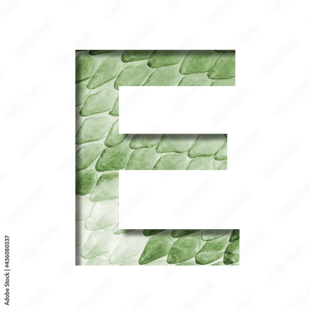 Snake scales font. The letter E cut out of paper on the background of a ...
