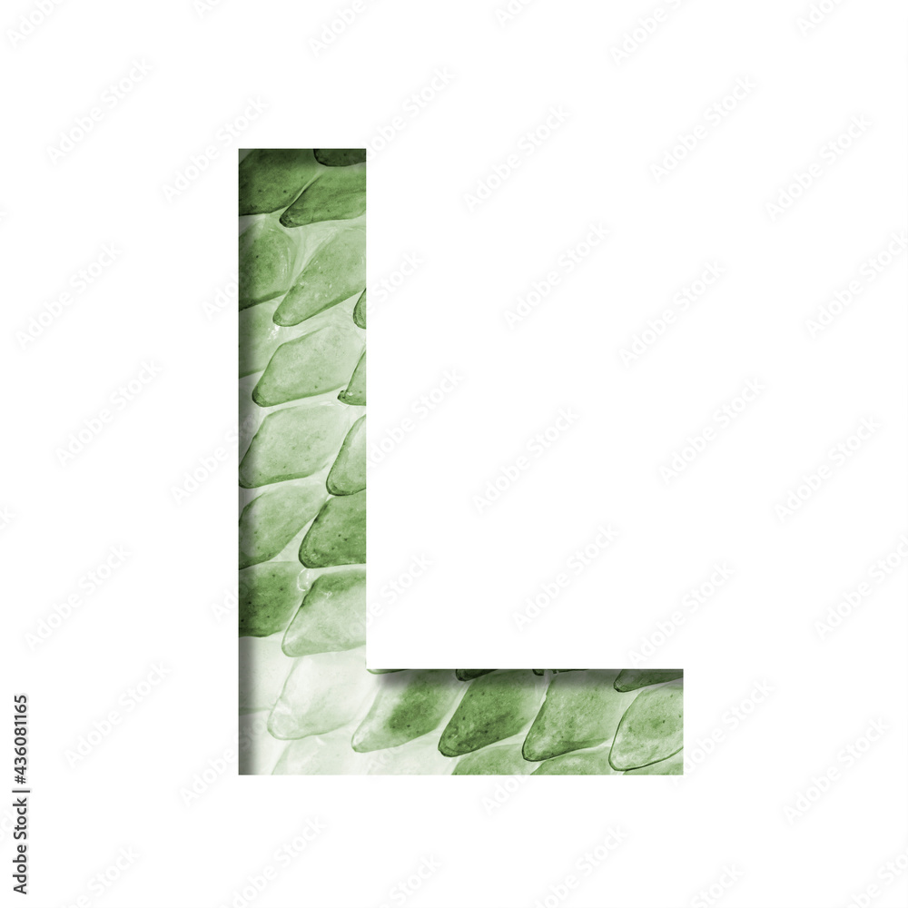 Snake scales font. The letter L cut out of paper on the background of a ...