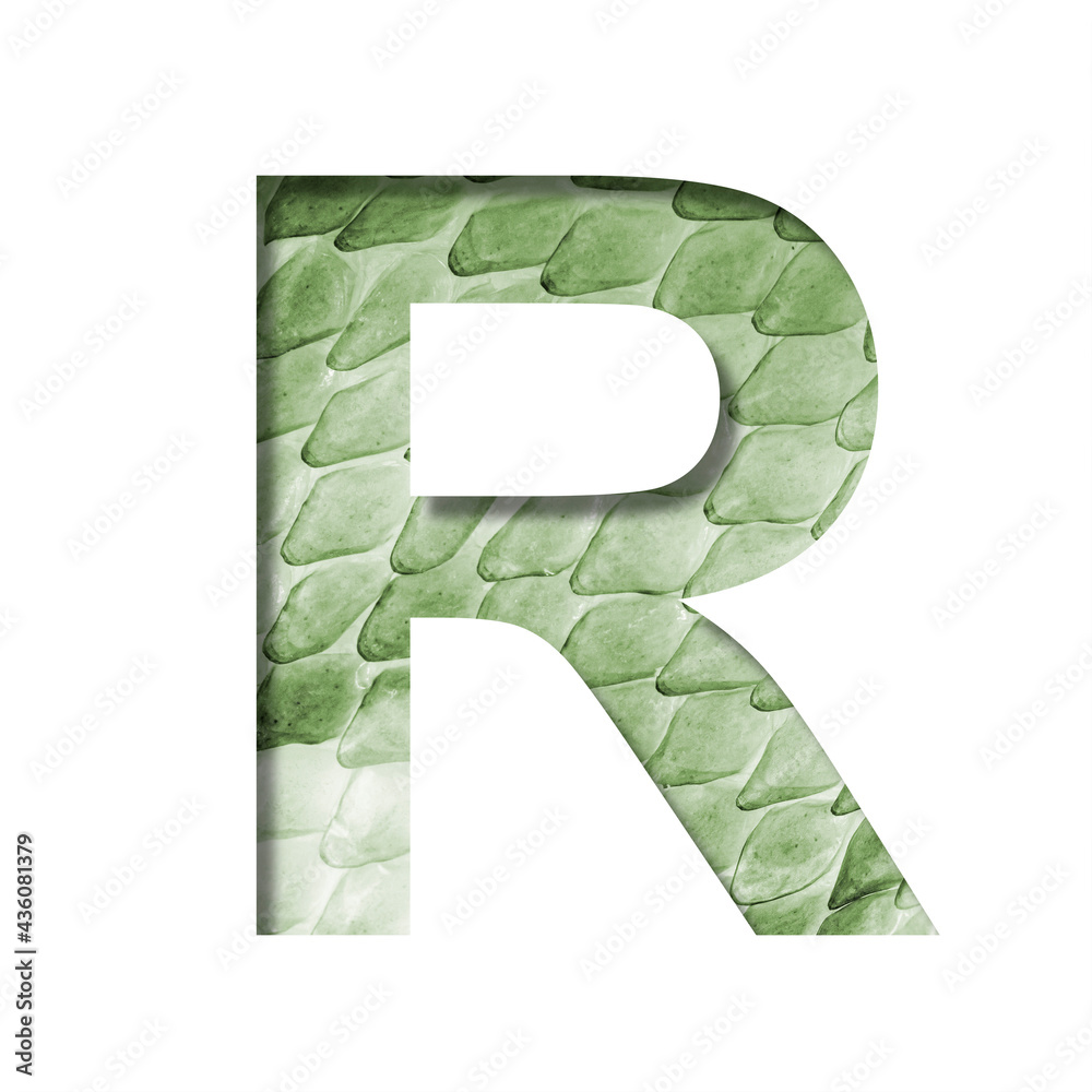 Snake scales font. The letter R cut out of paper on the background of a ...