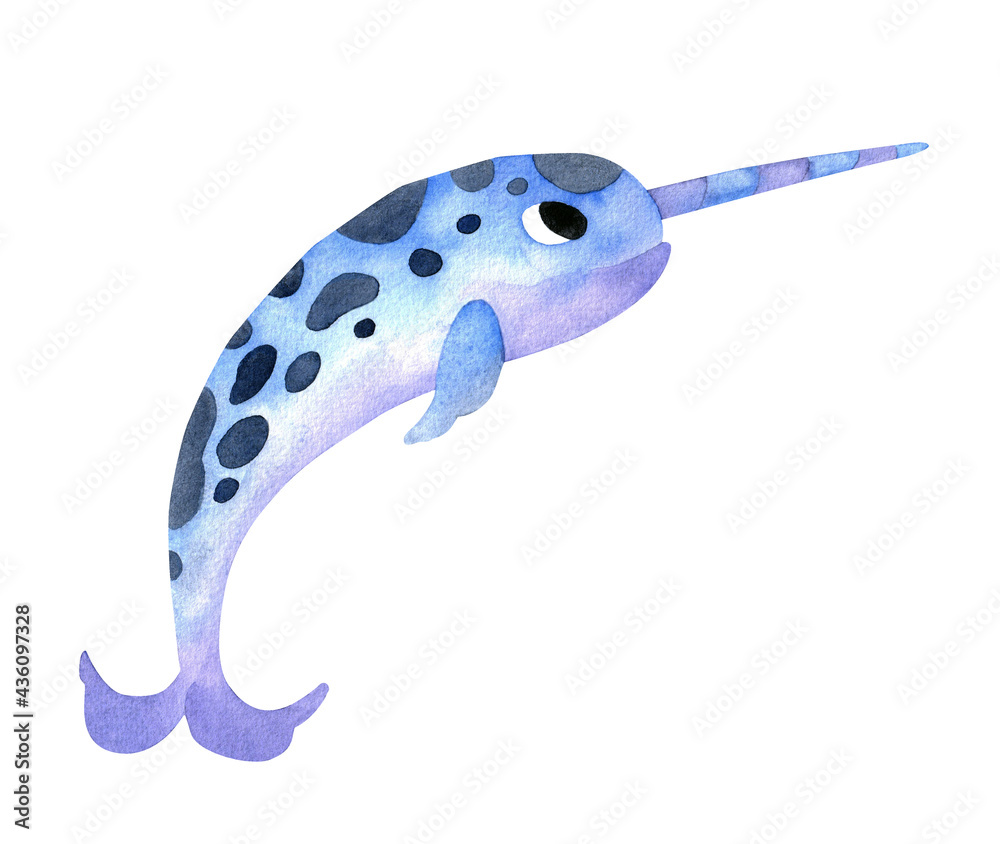 Cute narwhal watercolor illustration isolated on white background ...