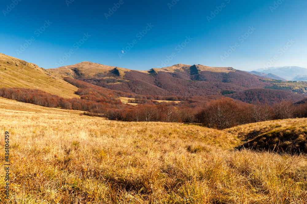 Panorama from the top of Tarnica to Halicz, Rozsypaniec, Krzemien ...