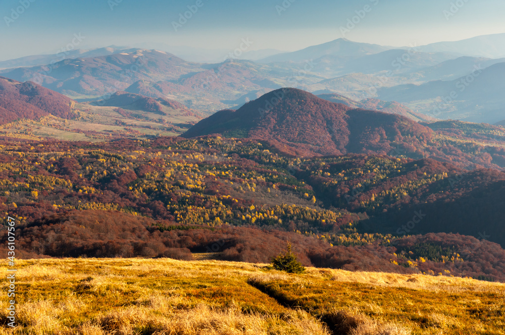 Fotka „Panorama from the top of Tarnica to Halicz, Rozsypaniec ...