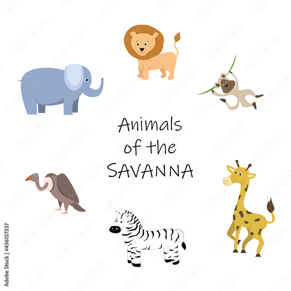 Set of savanna animals for learning and exploring the animal world ...