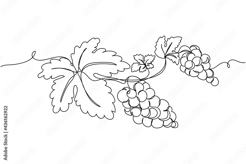 Continuous one line of bunches of grapes with leaf in silhouette ...