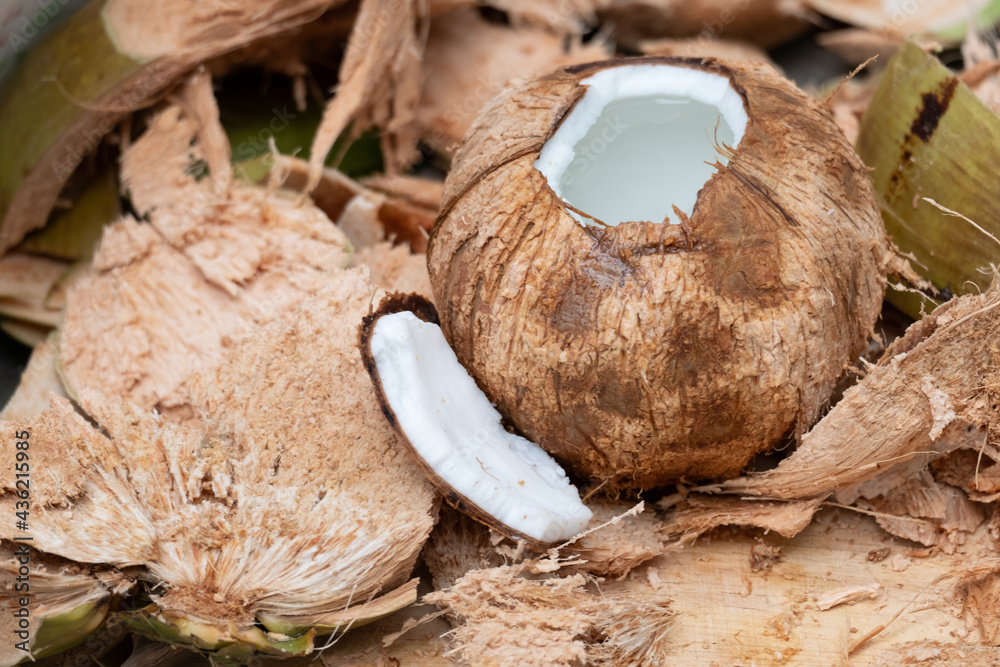 Mature coconut Stock Photo | Adobe Stock