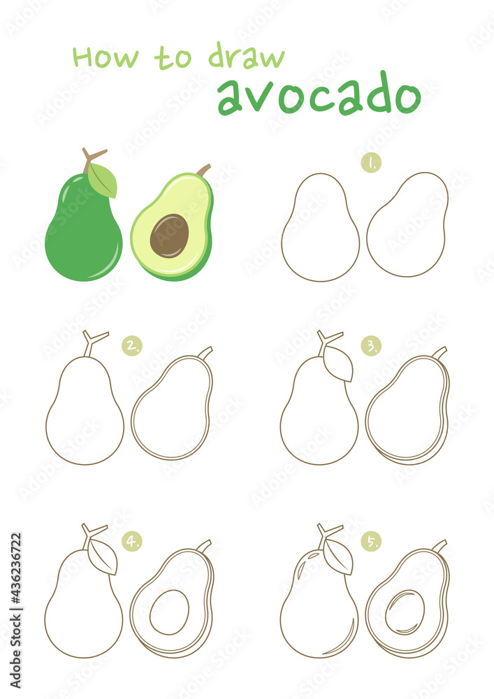 How to draw an avocado vector illustration. Draw avocado fruit step by ...