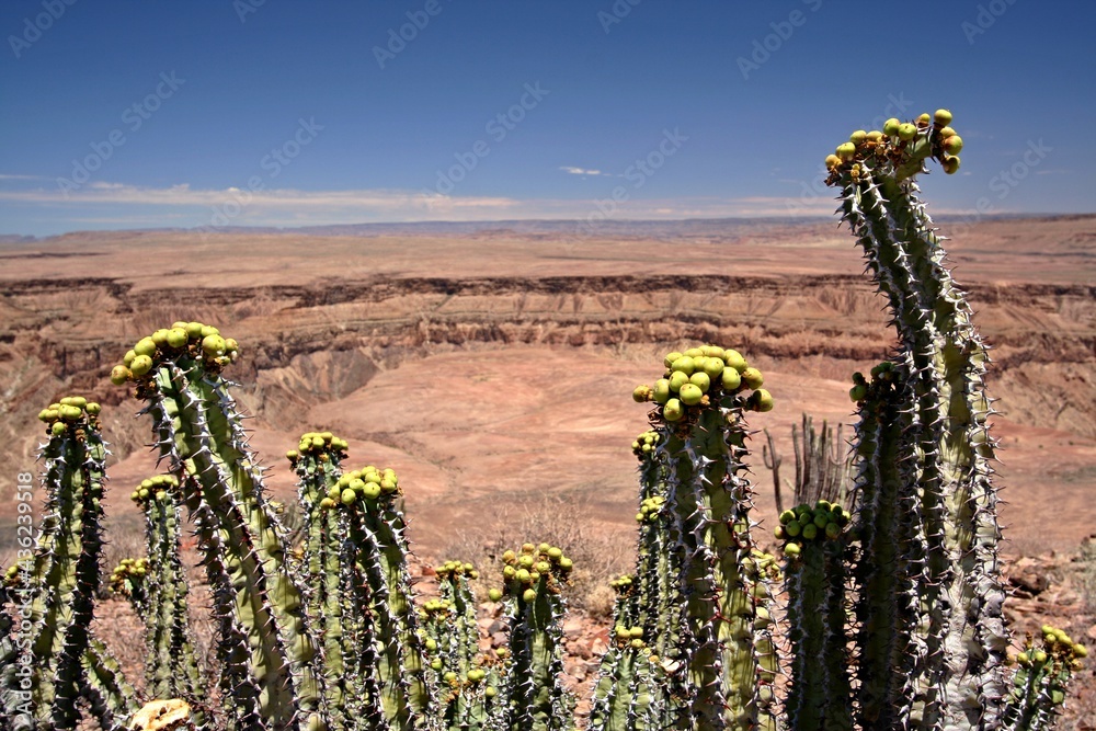 The Fish River Canyon is 160 kilometers long, up to 27 kilometers wide ...