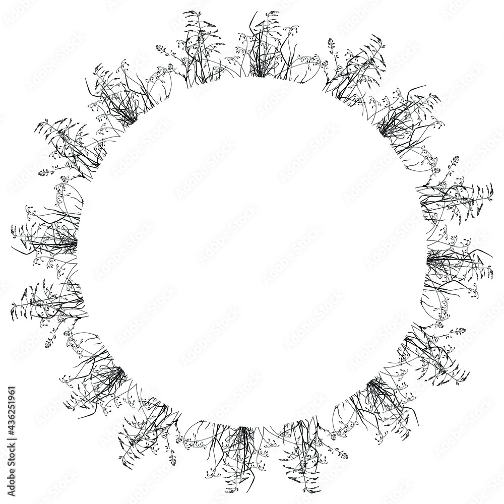 Round floral frame with wild herbs and grasses. Botanical border with ...
