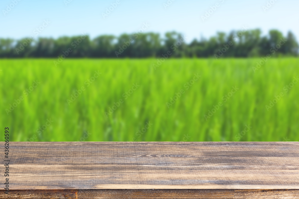 wood table top on blurred field background with grass Stock Photo ...
