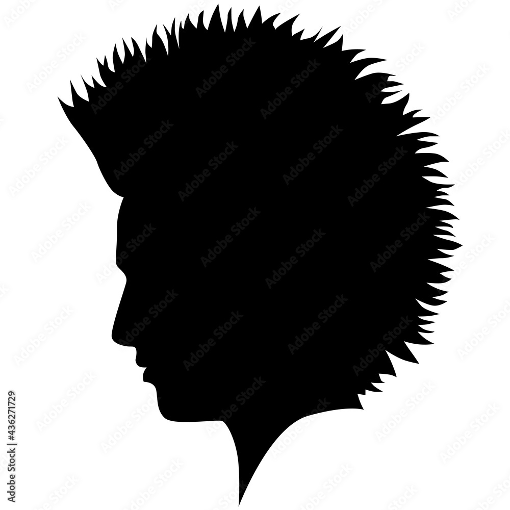 Irokese punk hairstyle for a adult men Anarcho punk (or anarchist punk ...