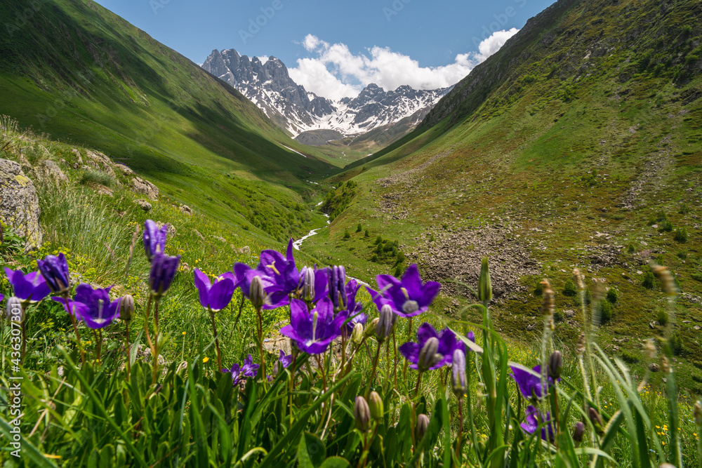 Summer season in Juta valley, small village in Caucasus mountains range ...