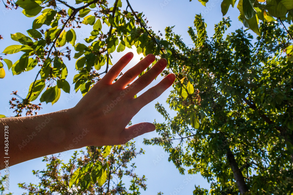 Faceless picture, man's hand covering sunlight, sun shiing through hand ...