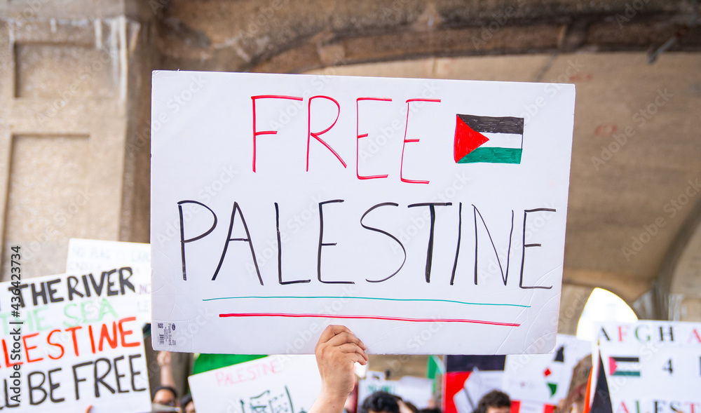 Photo & Art Print Free Palestine sign, Sam Cheng