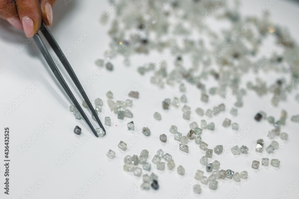 Manual sorting of diamonds. A hand with tweezers transfers diamonds ...