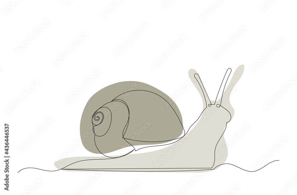 snail, sketch, continuous line drawing, isolated Stock Vector | Adobe Stock