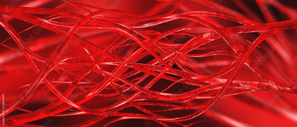 blood vessels, veins and arteries, circulatory system, 3d rendering ...