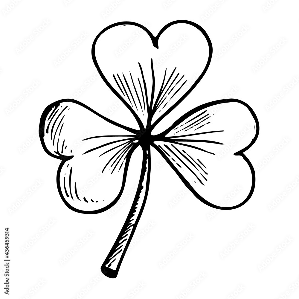 Clover sketch illustration. Hand drawn three leaf clover. Vector ...