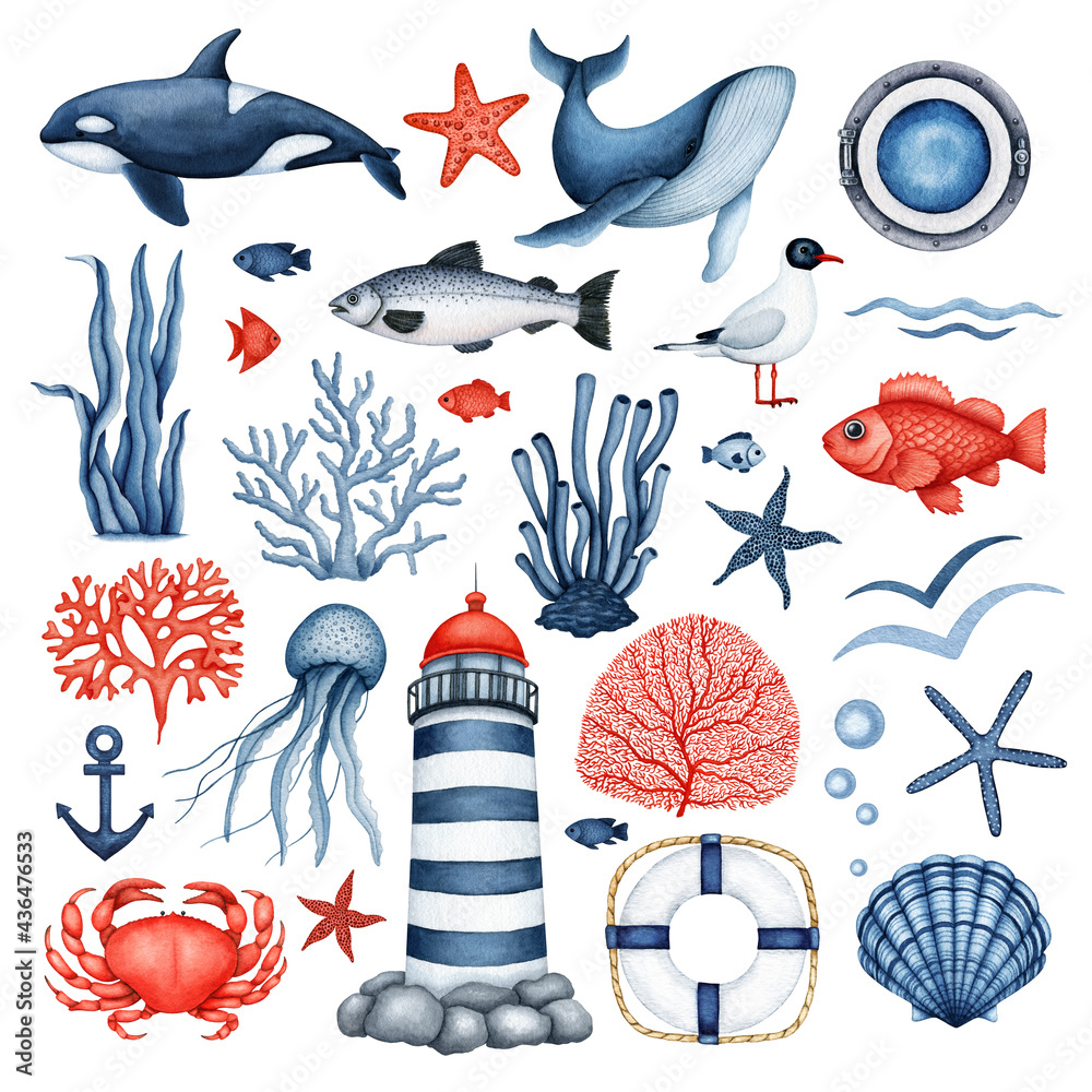 Ocean Life Clipart