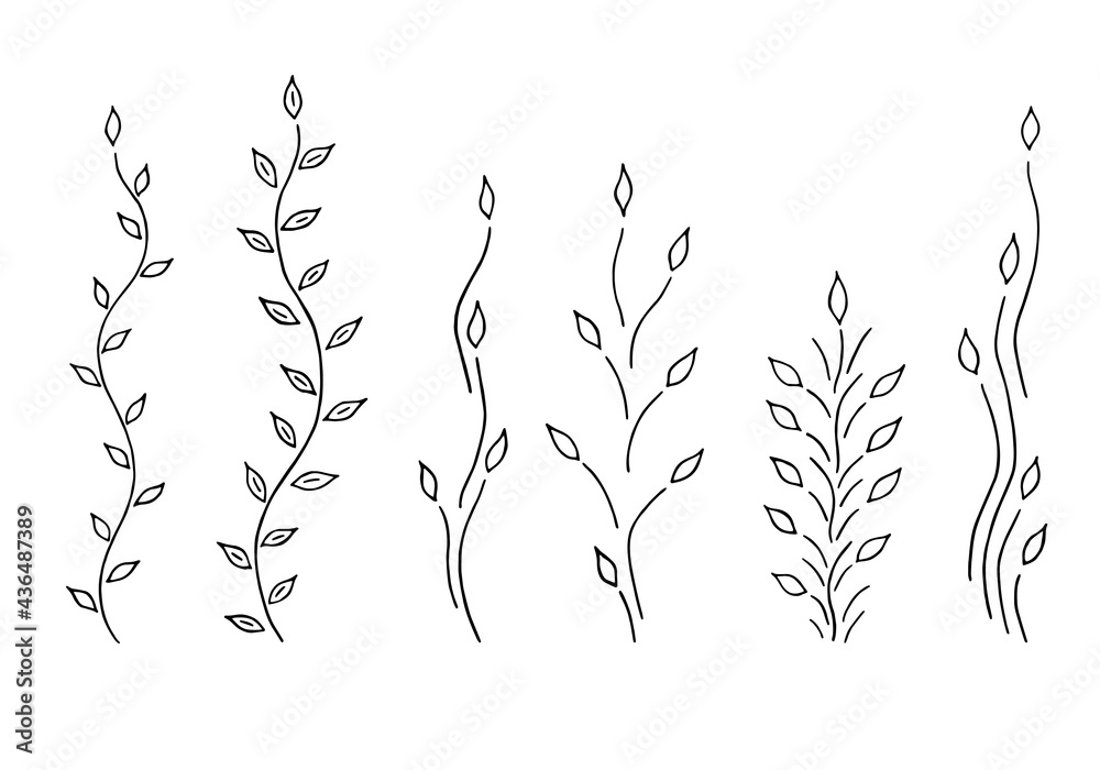 Floral elements, leaves, vines isolated on white background. Stylized ...