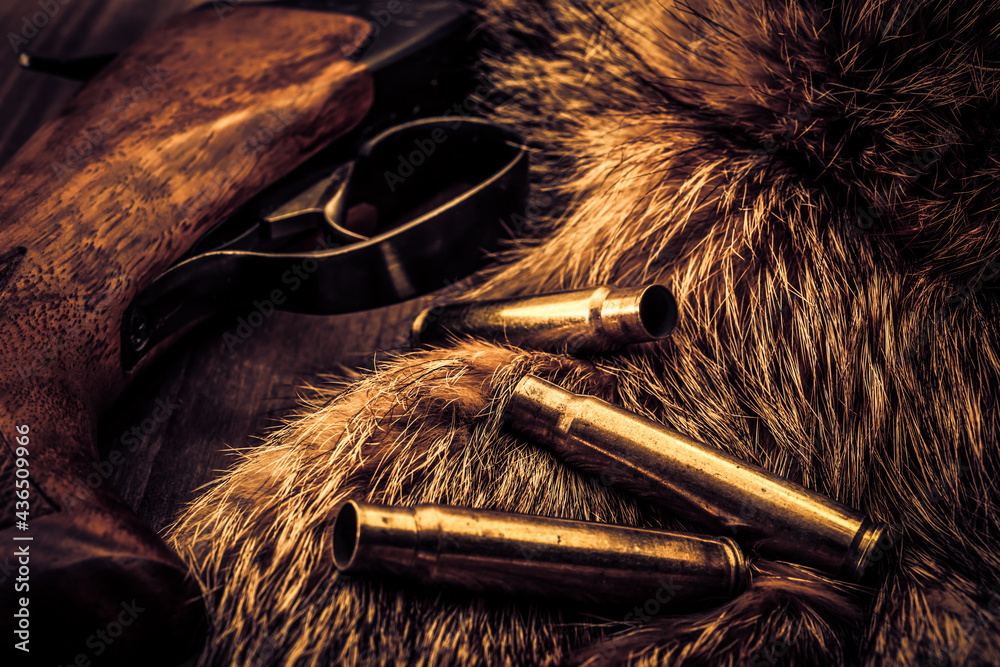 Hunting rifle lying next to the animal's fur produced with the casings ...
