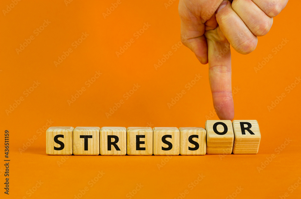 Stress and stressor symbol. Businessman turns cubes, changes words ...