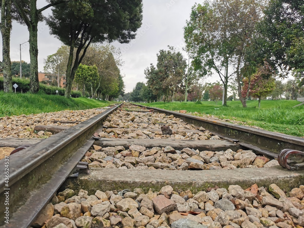 Carrilera de tren, ferrocarril desde el piso con arboles y pasajes ...