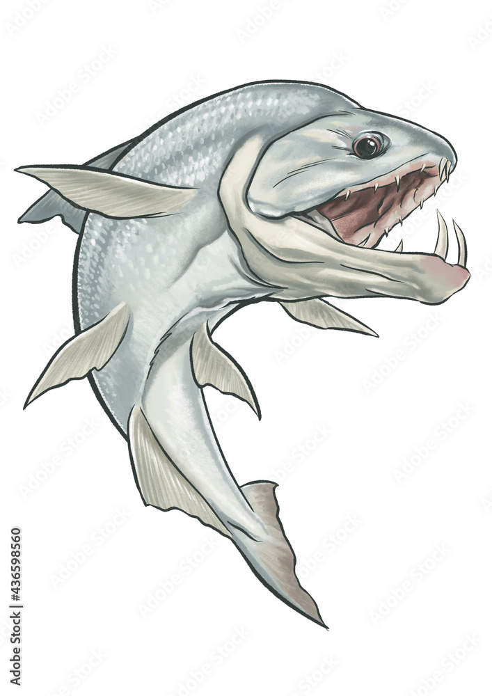 Vampire Tetra Fish - peixe cachorra - isolated on white background ...