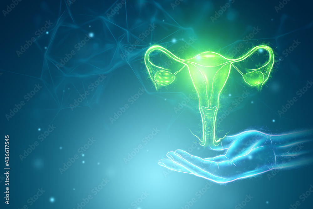 Hologram of the female organ of the uterus on a blue background ...