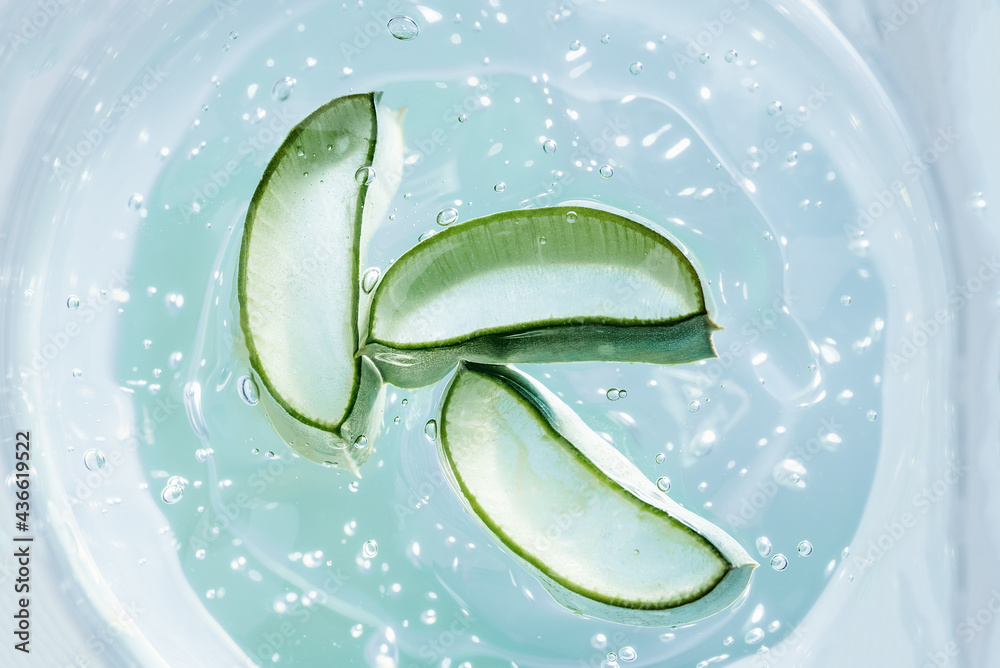Aloe vera slice texture with gel on green background. Medicinal plant ...