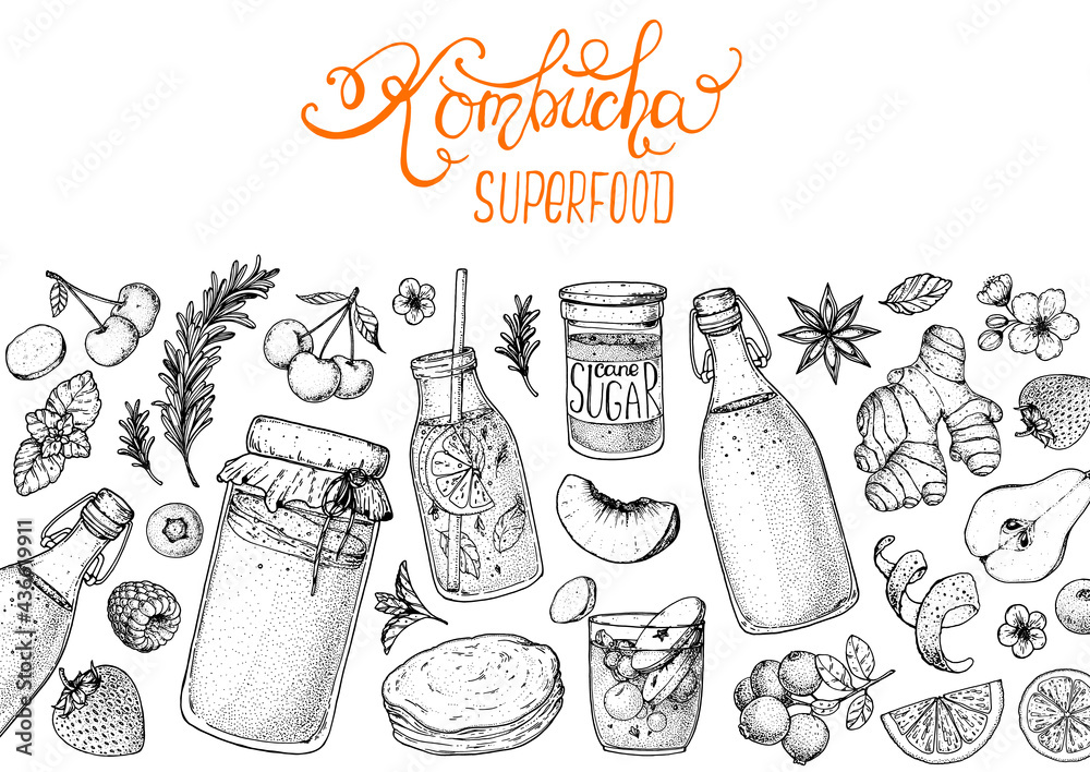 Kombucha tea and ingredients for kombucha sketch. Hand drawn vector ...