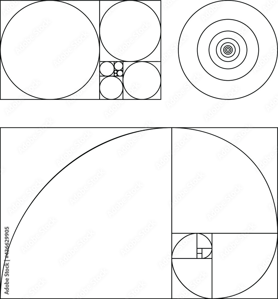 Golden Ratio vector. Fibonacci number. Circles in golden proportion ...