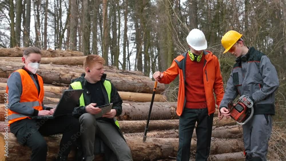 The conflict situation of workers at logging. The manager scolds the ...