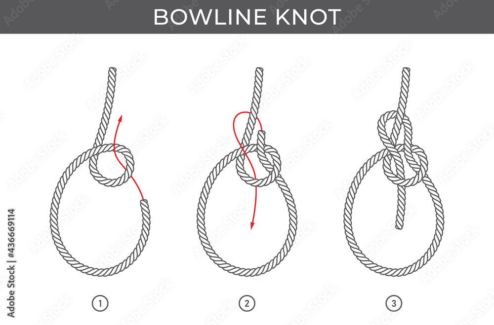 Vector simple instructions for tying a Bowline knot. Three steps ...