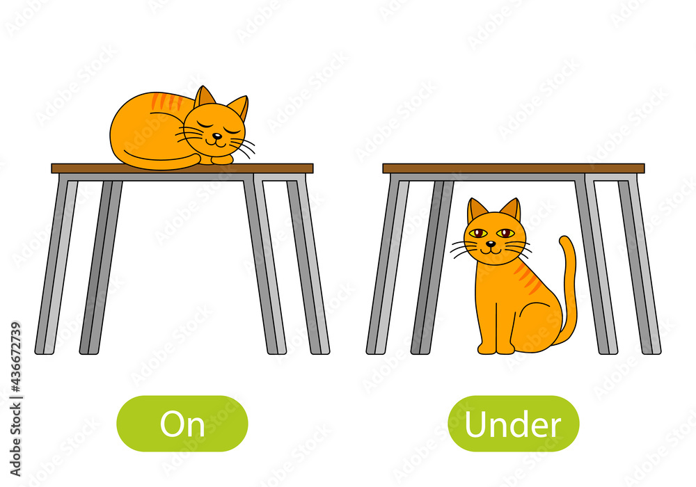 the cat sleeps ON the table and sits UNDER the table. the concept of ...