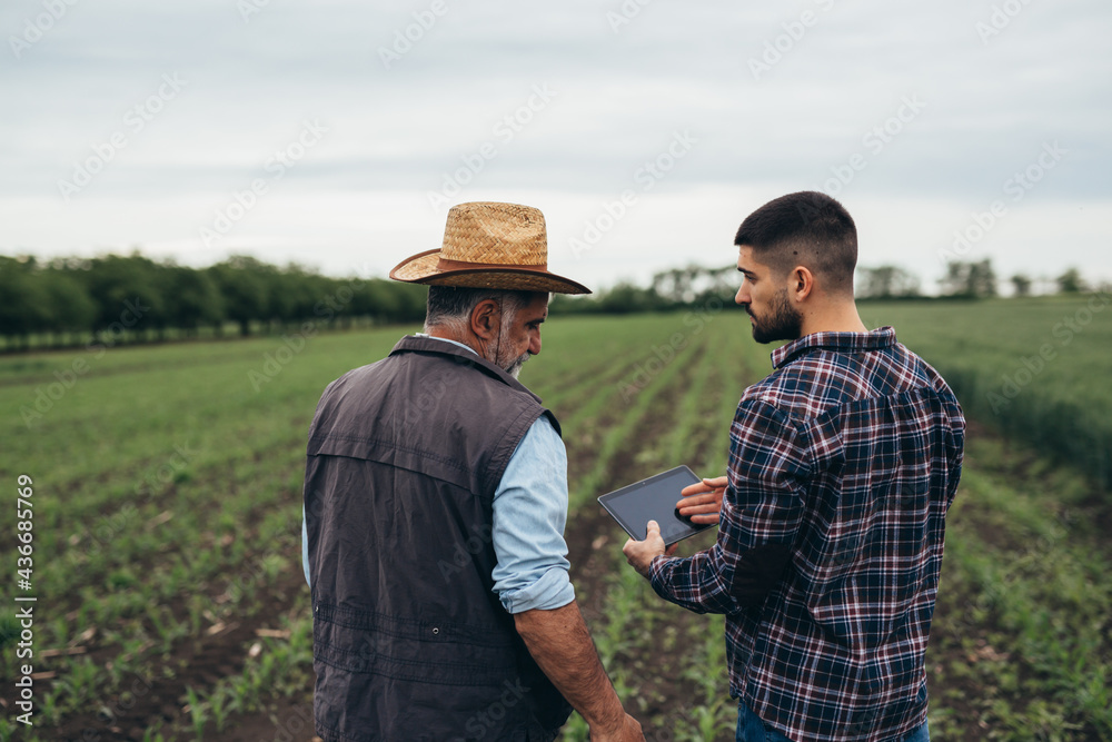 agricultural subsidies. workers talking on corn field Stock Photo ...