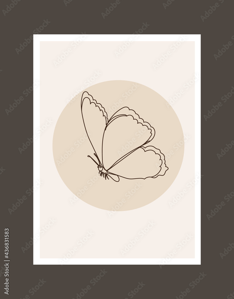 Flying Butterfly Sketch