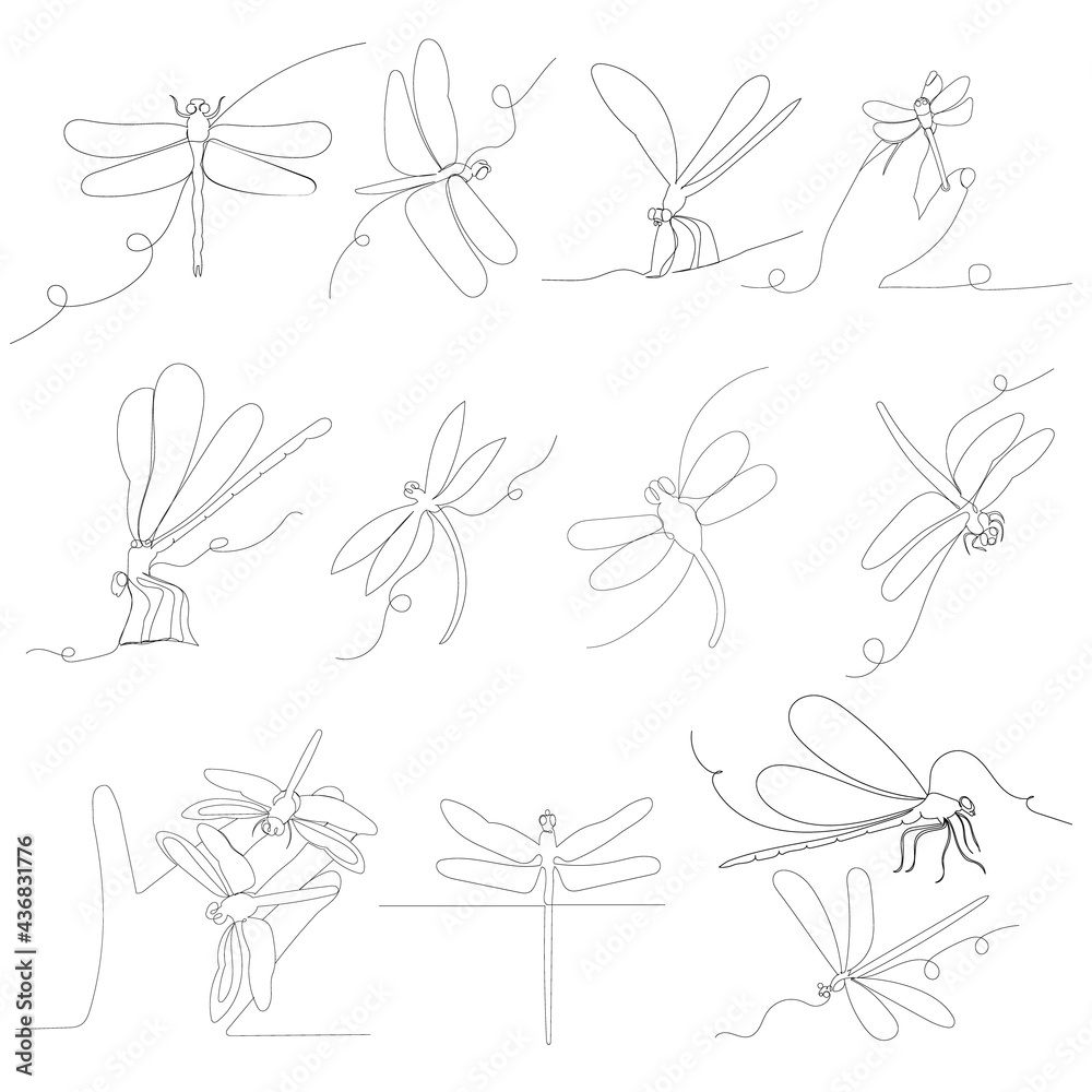 Vetor de set, dragonfly continuous line drawing, vector do Stock ...
