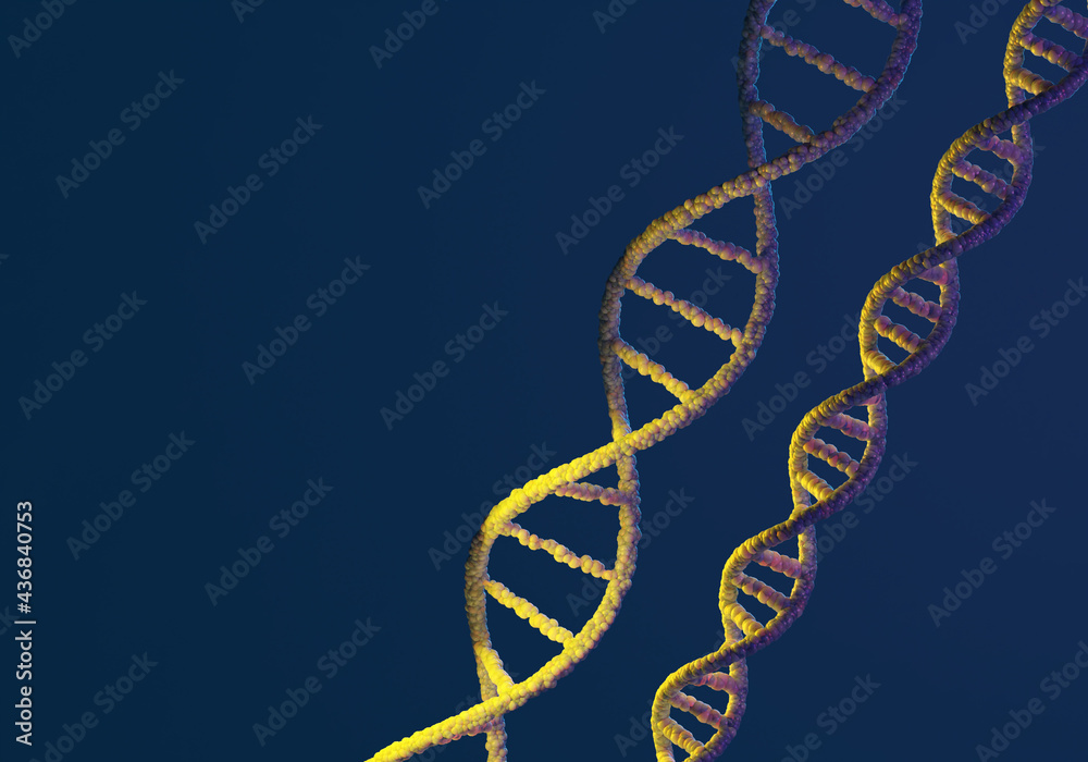 DNA molecules on a dark background. Human DNA research concept. DNA ...