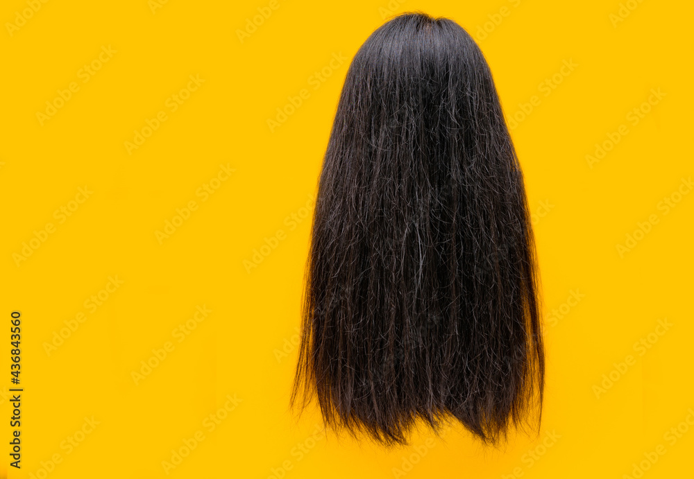 Damaged hair isolated on yellow background. Dry and brittle hair ...