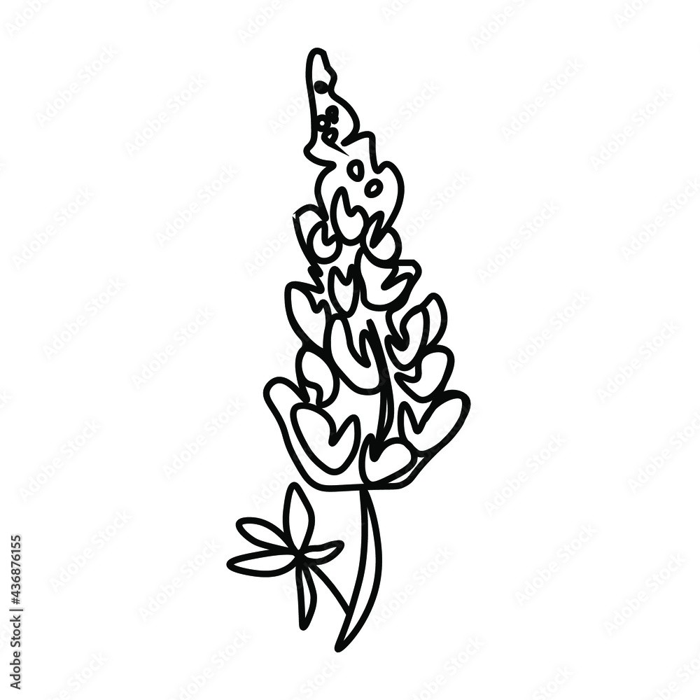 One vector lupine for halloween. Simple illustration of black line ...