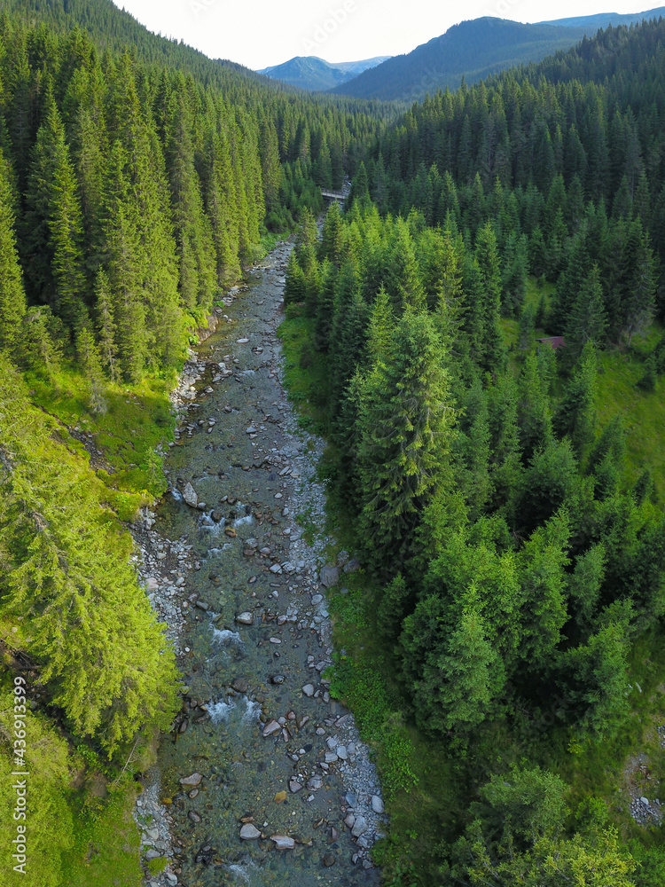 Aerial drone vertical panorama above Lotru river flowing through a ...