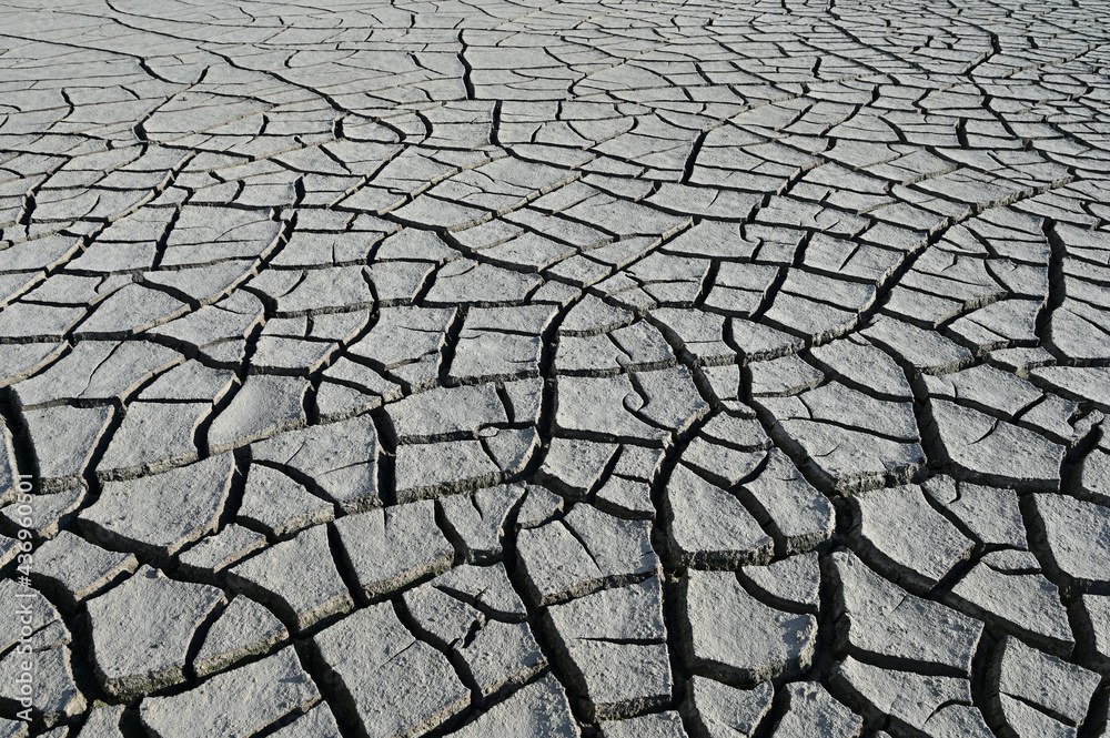 Dry exposed bed of Eco Pond under severe drought conditions in ...