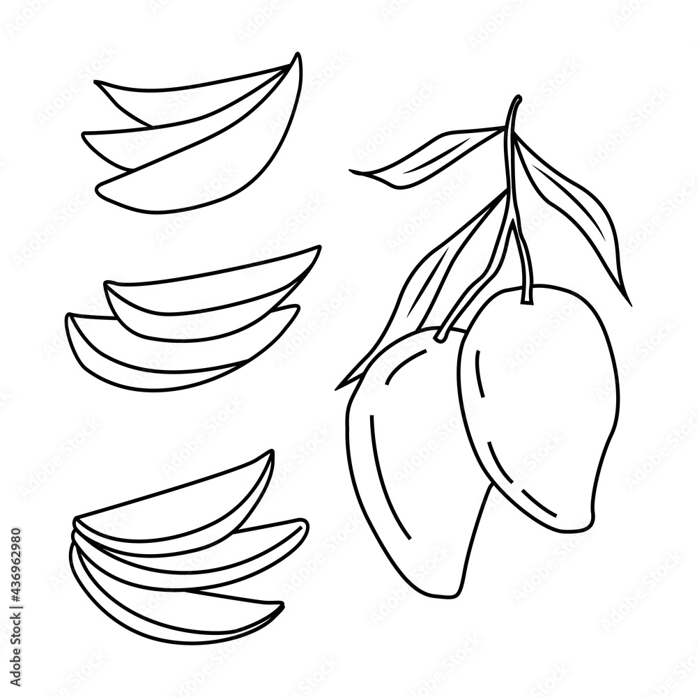 Set of mango fruit with leaves and sliced slices. For the design of ...