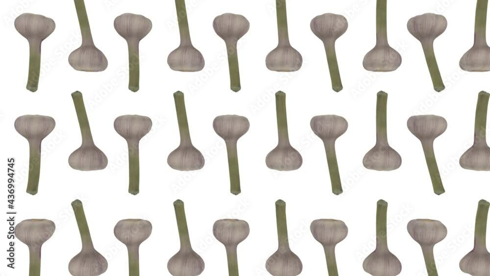Equal rows of heads of garlic are stacked tail to head and rotate ...
