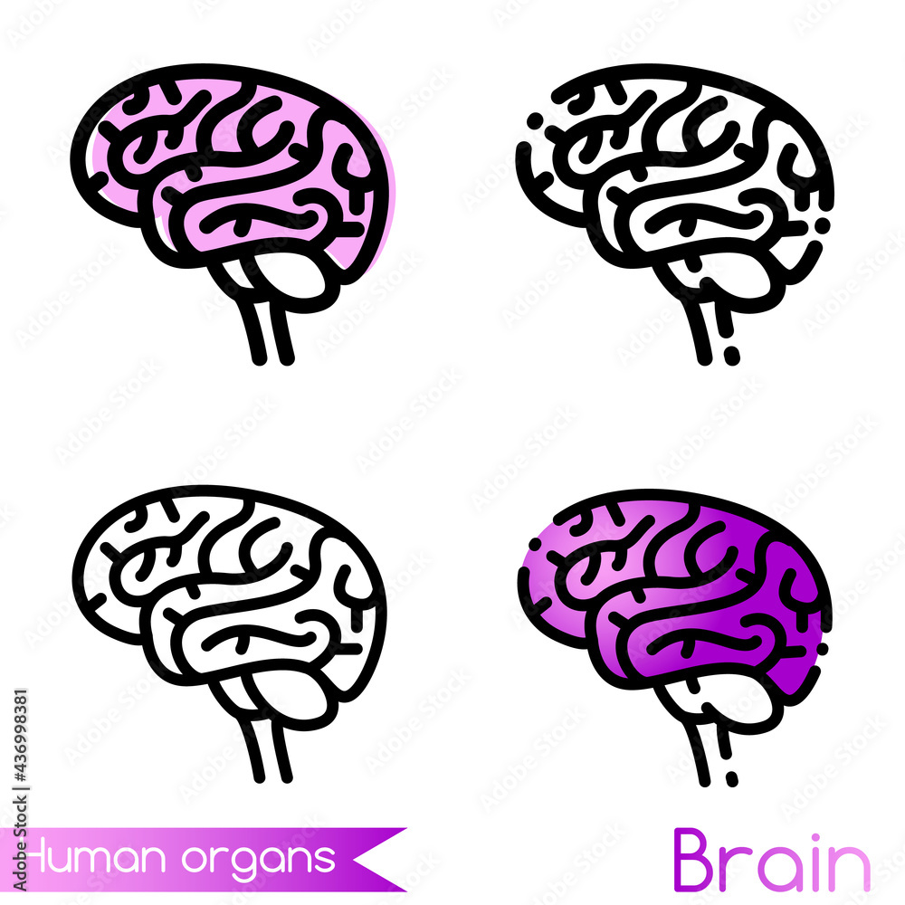 Human Brain vector icon in four different contour line thicknesses ...
