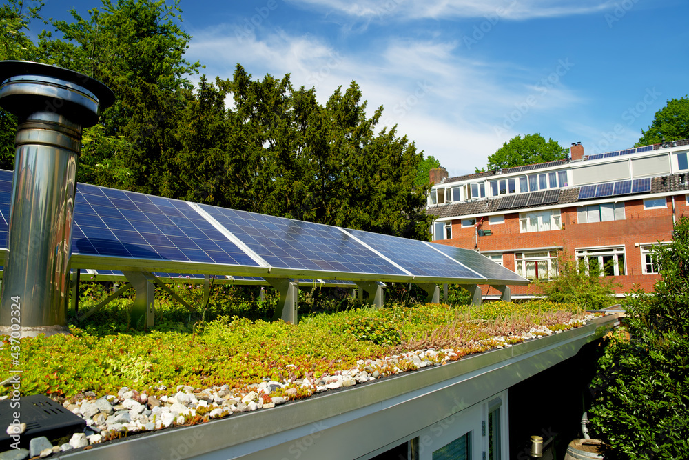 Solar panels on a green roof with flowering sedum plants. Sedum rooftop ...