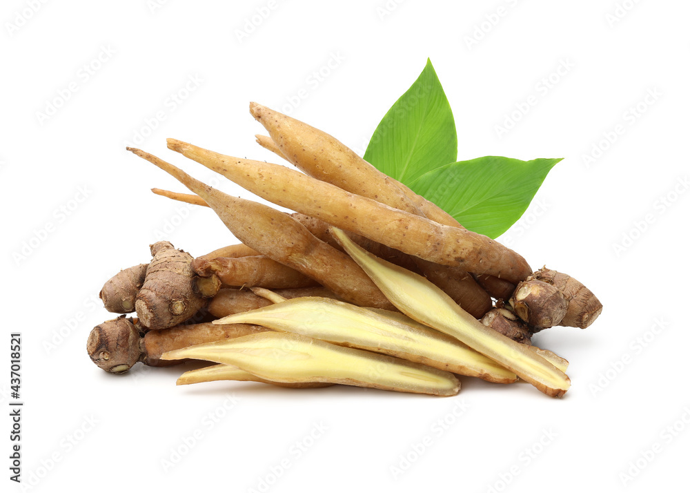 Finger root with leaf isolated on white background,White Krachai,herb ...