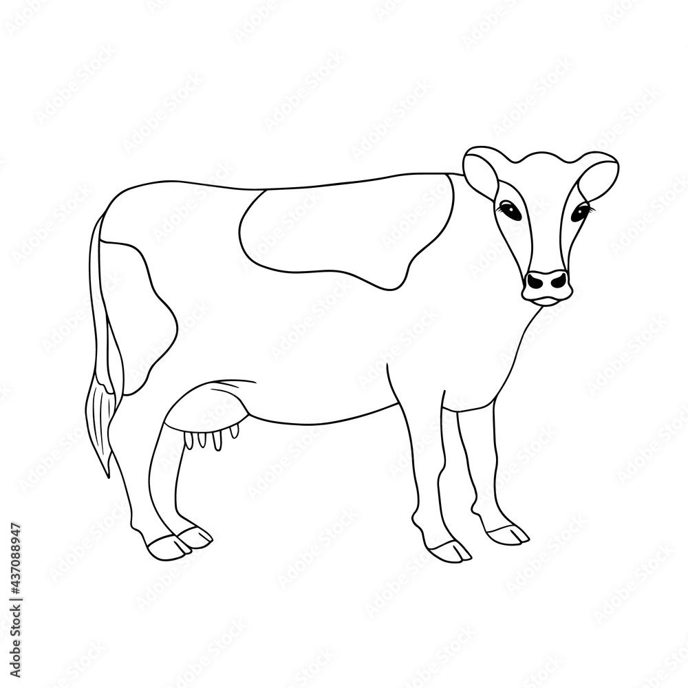 Outline vector standing Cow. Series of Livestock, Farm Animals. Hand ...