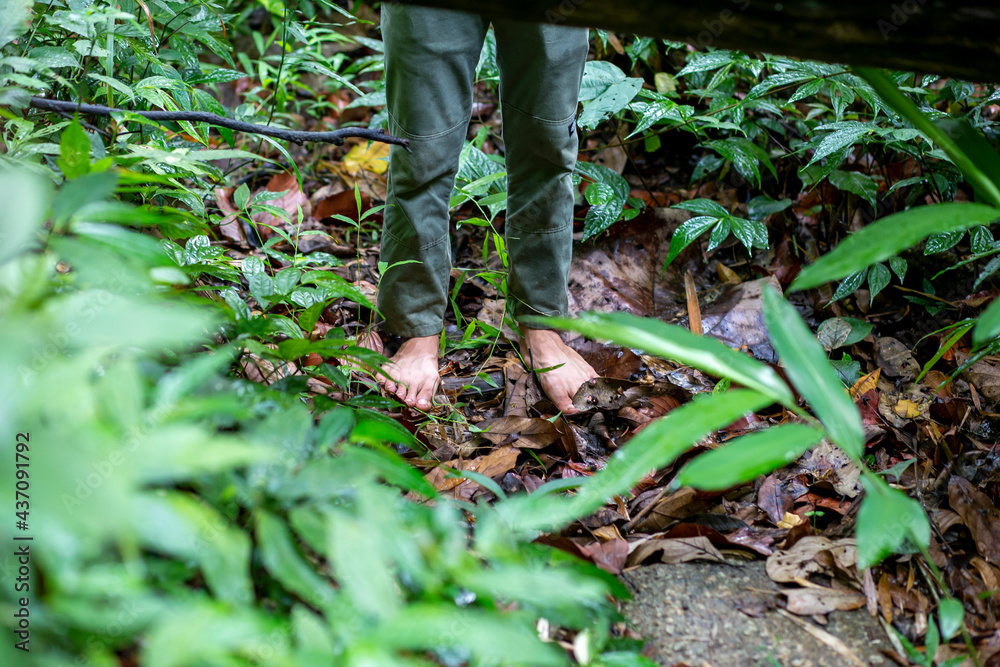 Barefoot of an Asian man standing in a green leafy forest. Barefoot ...